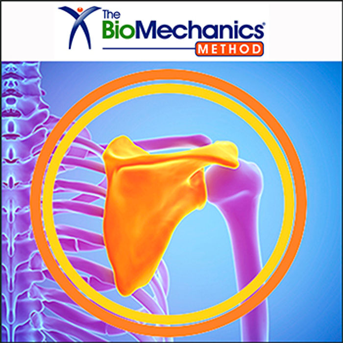 The Fundamentals of Structural Assessment