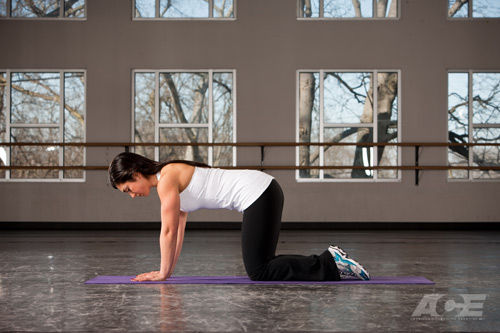 Chest Exercises | CKC Parascapular Exercises