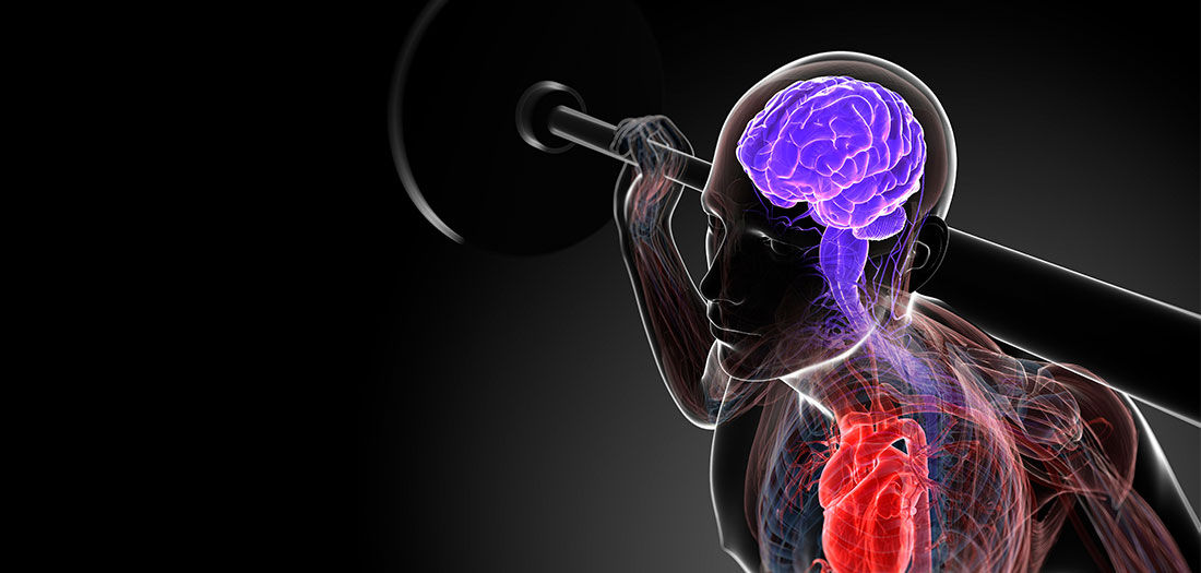 Your Brain on Exercise | The Neuroscience of Working Out