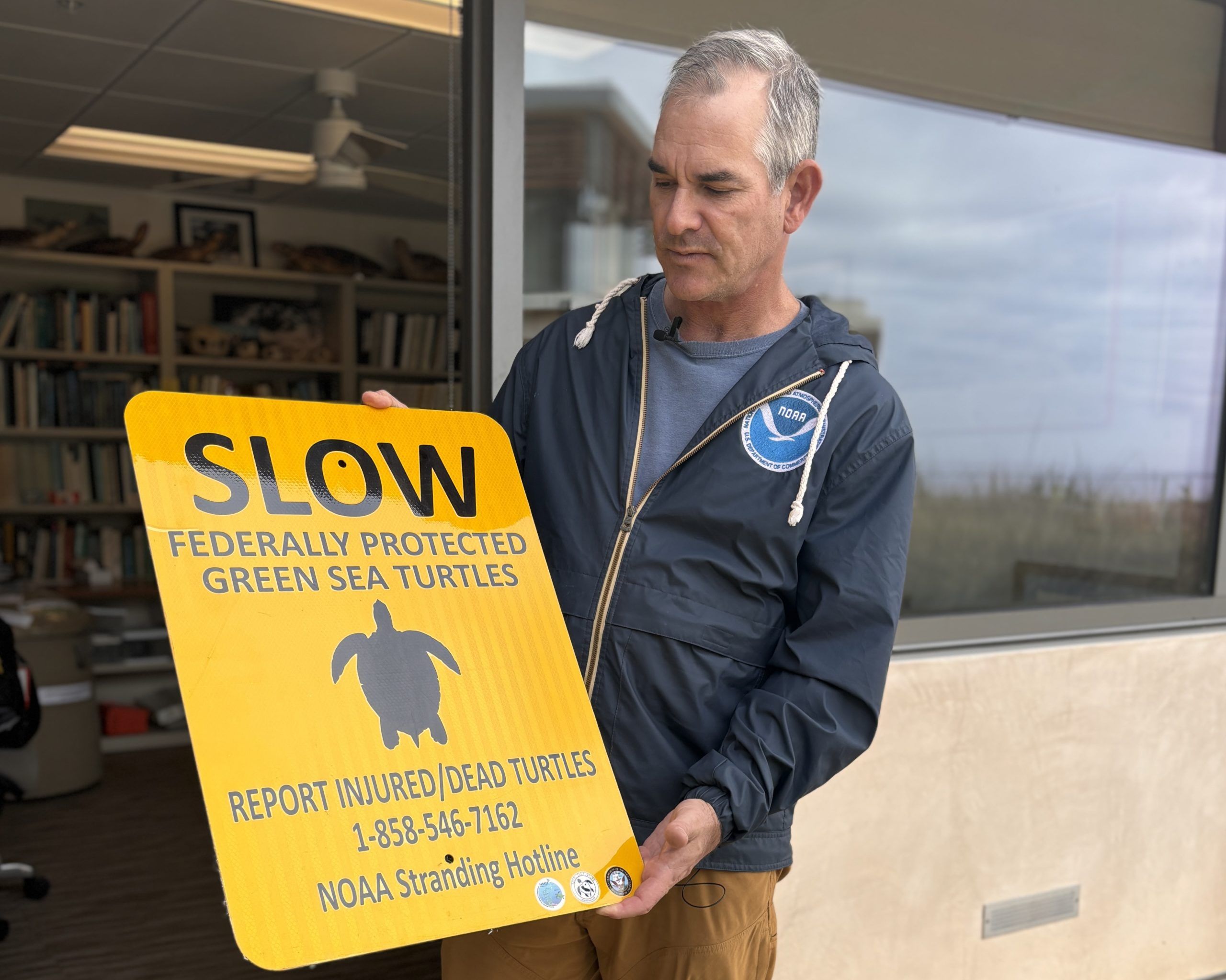 Video: Learn about Coronado's sea turtles and those saving them – The ...