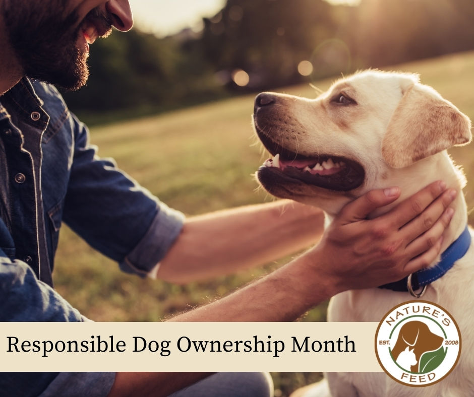 Responsible Dog Ownership Month - Spring Grove, Illinois