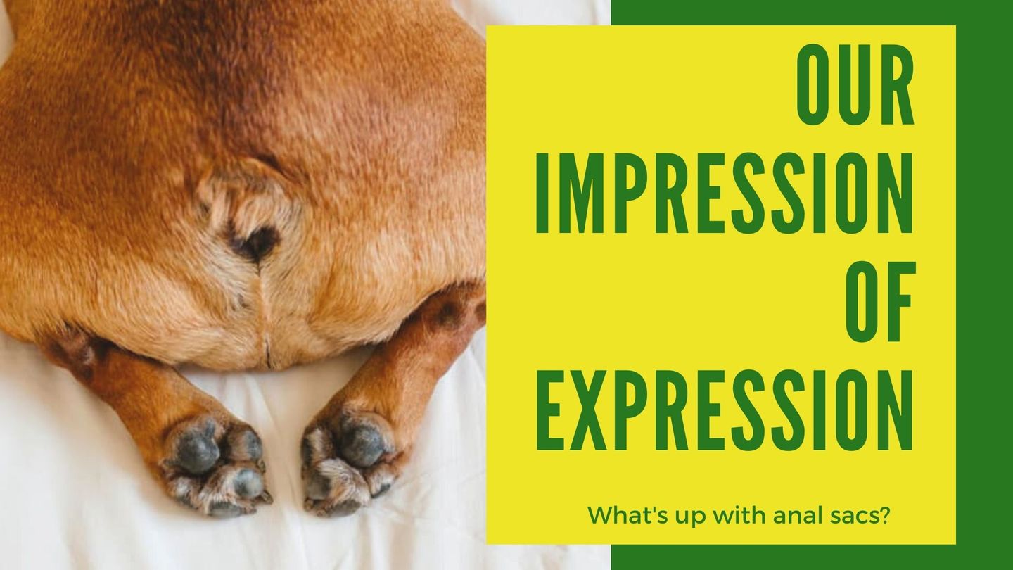 Our Impression Of Expression - Dallas, Texas