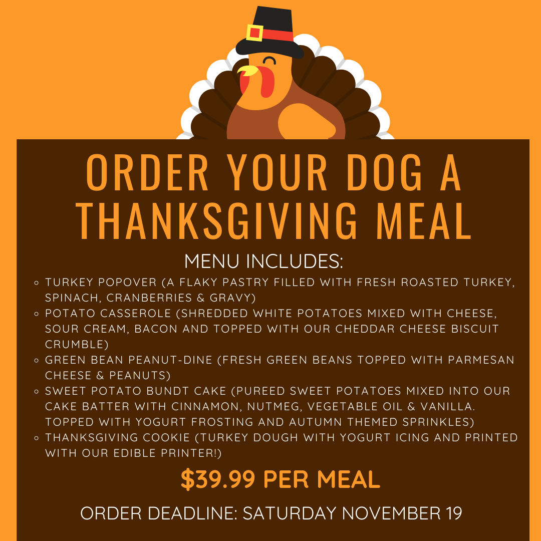Order Your Dog A Thanksgiving Day Meal Tewksbury Massachusetts Order Your Dog A Thanksgiving Day Meal Tewksbury Massachusetts