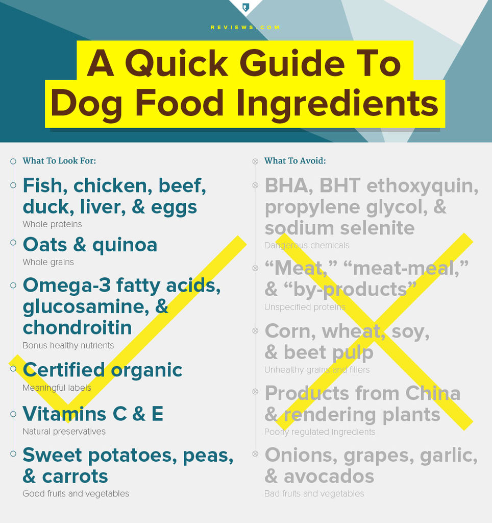 Did You Know A Healthy Dog Or Cat Food Or Treat Should Contain did-you-know-a-healthy-dog-or-cat-food-or-treat-should-contain