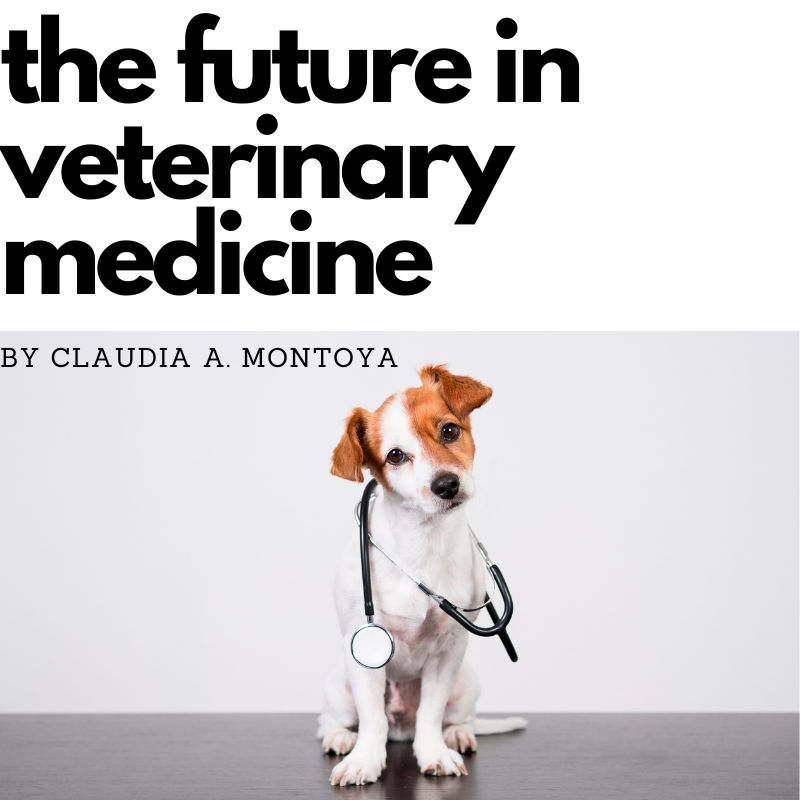 What Is The Future Of Veterinary Medicine? - Gainesville, Virginia