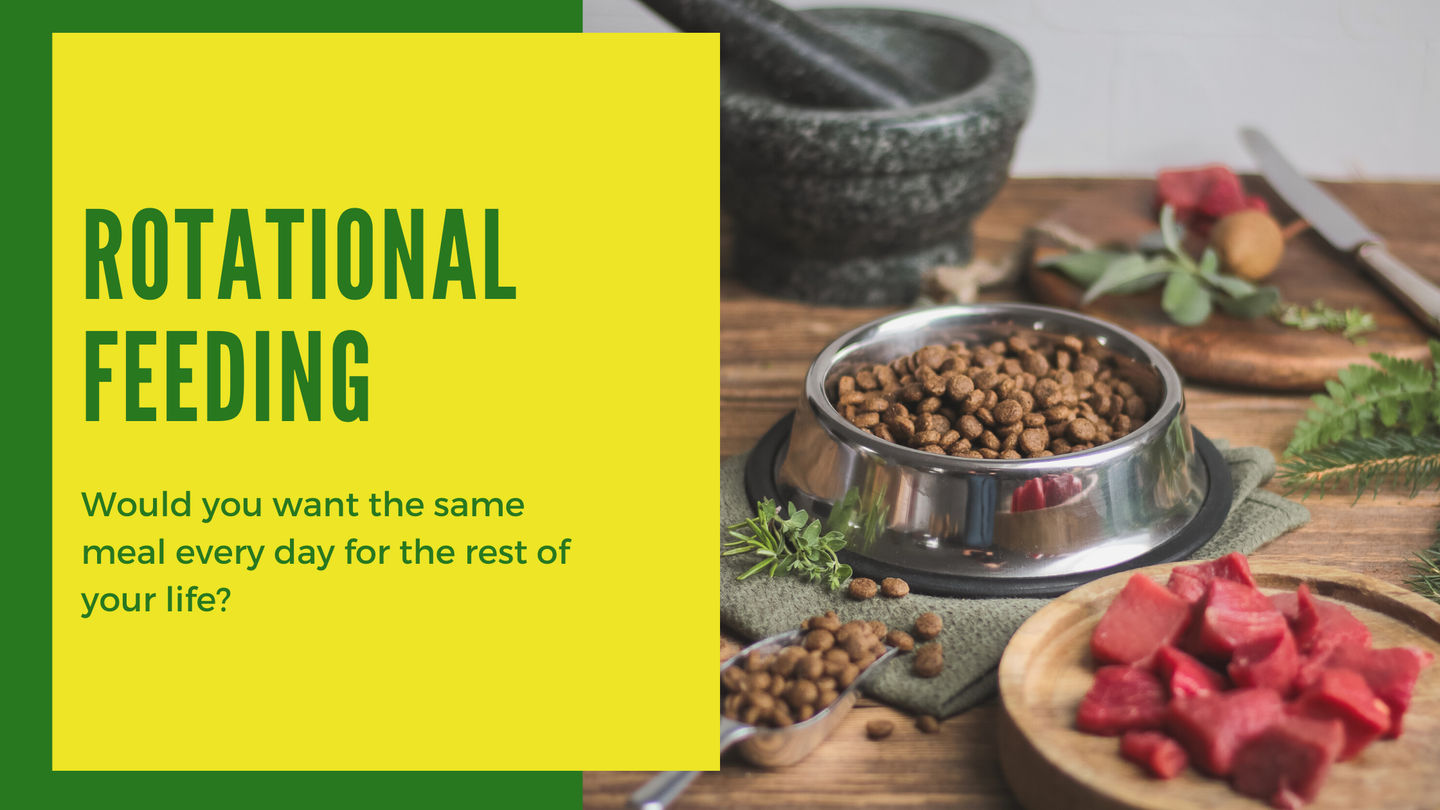 Rotational Feeding - Dallas, Texas