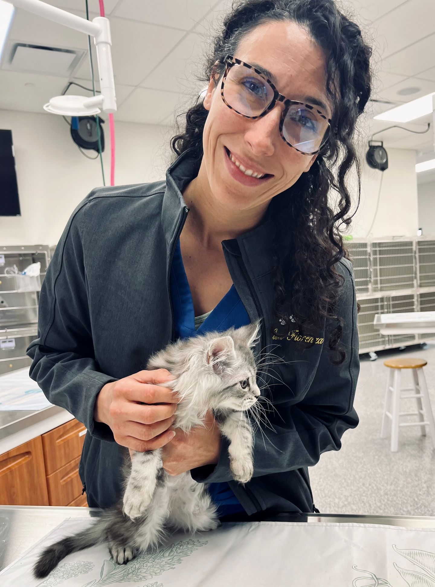 Feline Infectious Peritonitis (FIP) By Dr. Lisa Fiorenza - Whippany ...