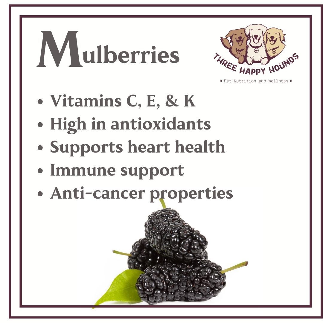Mulberry Fruit Benefits
