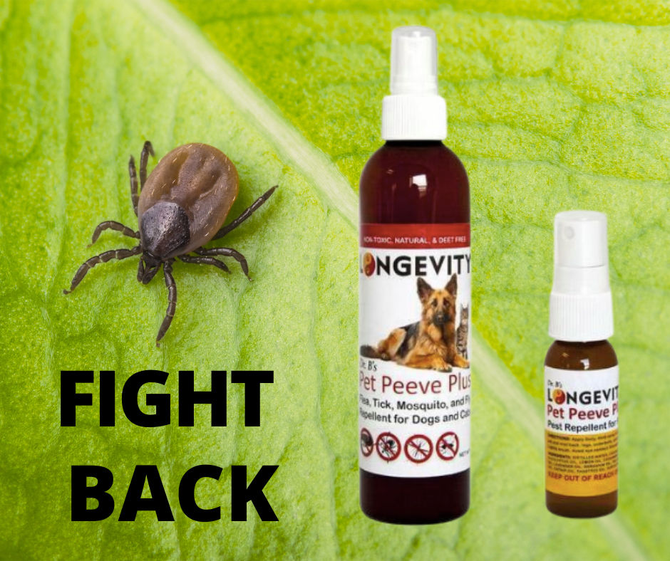 Tick Season Is Here - Whippany, New Jersey