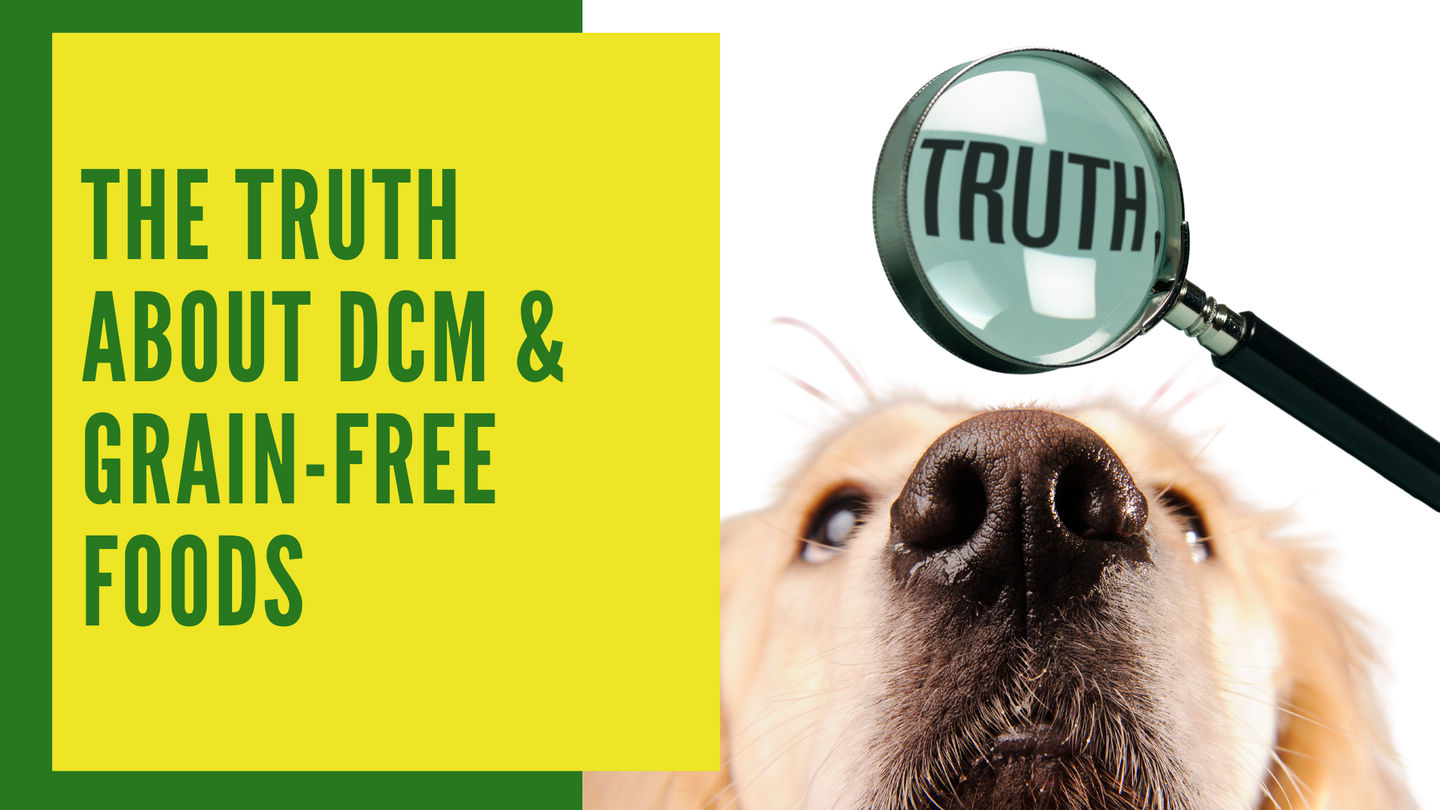 The Truth About DCM & Grain-Free Foods - Dallas, Texas
