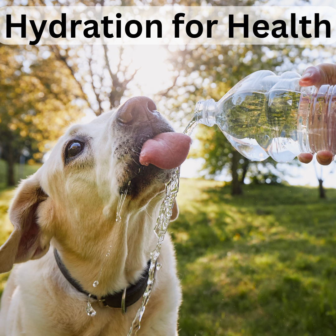 Hydration For Health