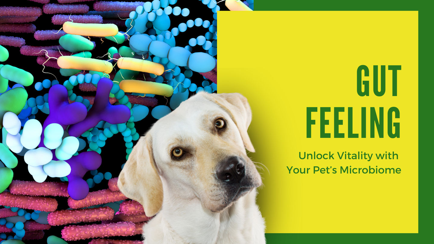 Gut Feeling: Unlock Vitality With Your Pet's Microbiome - Dallas, Texas