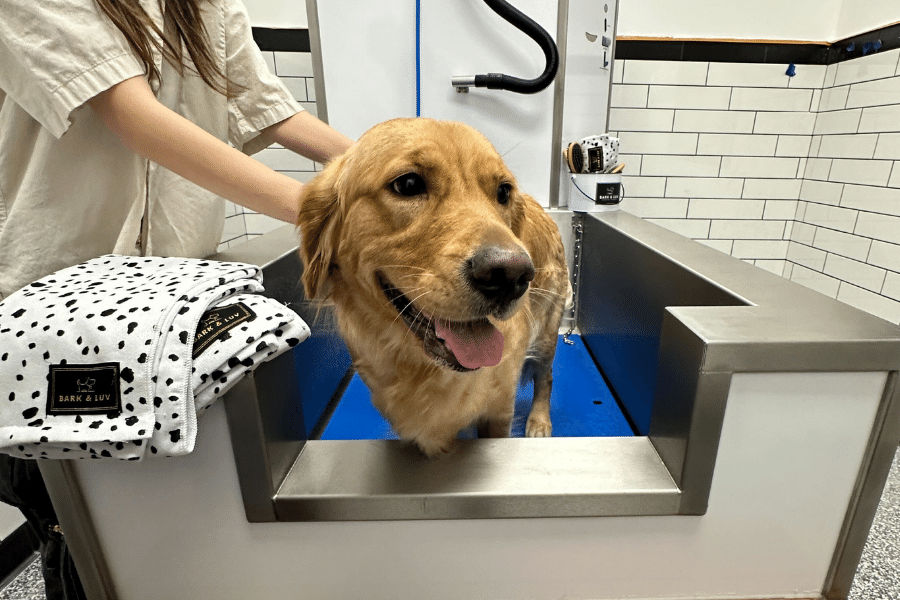 Bark & Luv Has Revolutionized The Grooming Experience With Our State-of ...