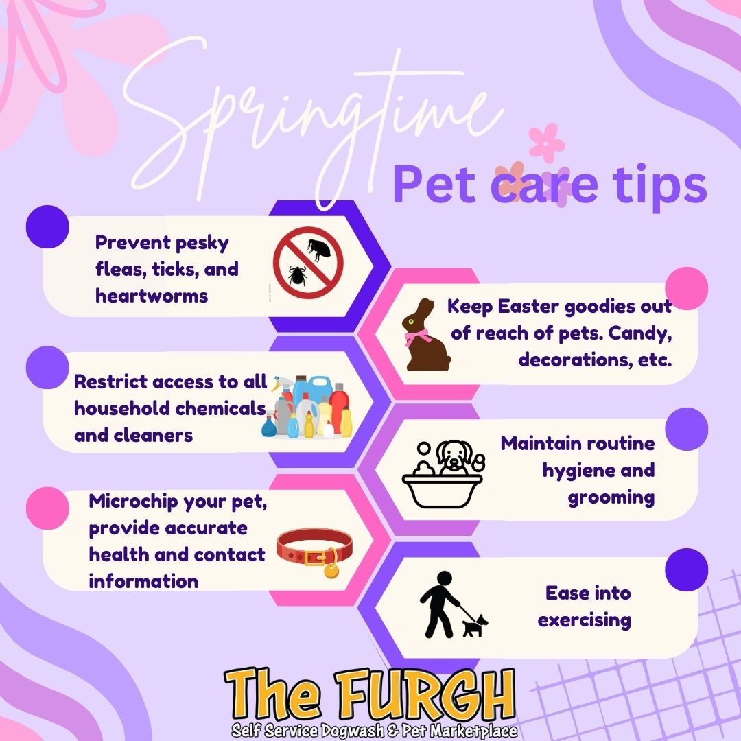 Spring Time Pet Safety - Pittsburgh, Pennsylvania
