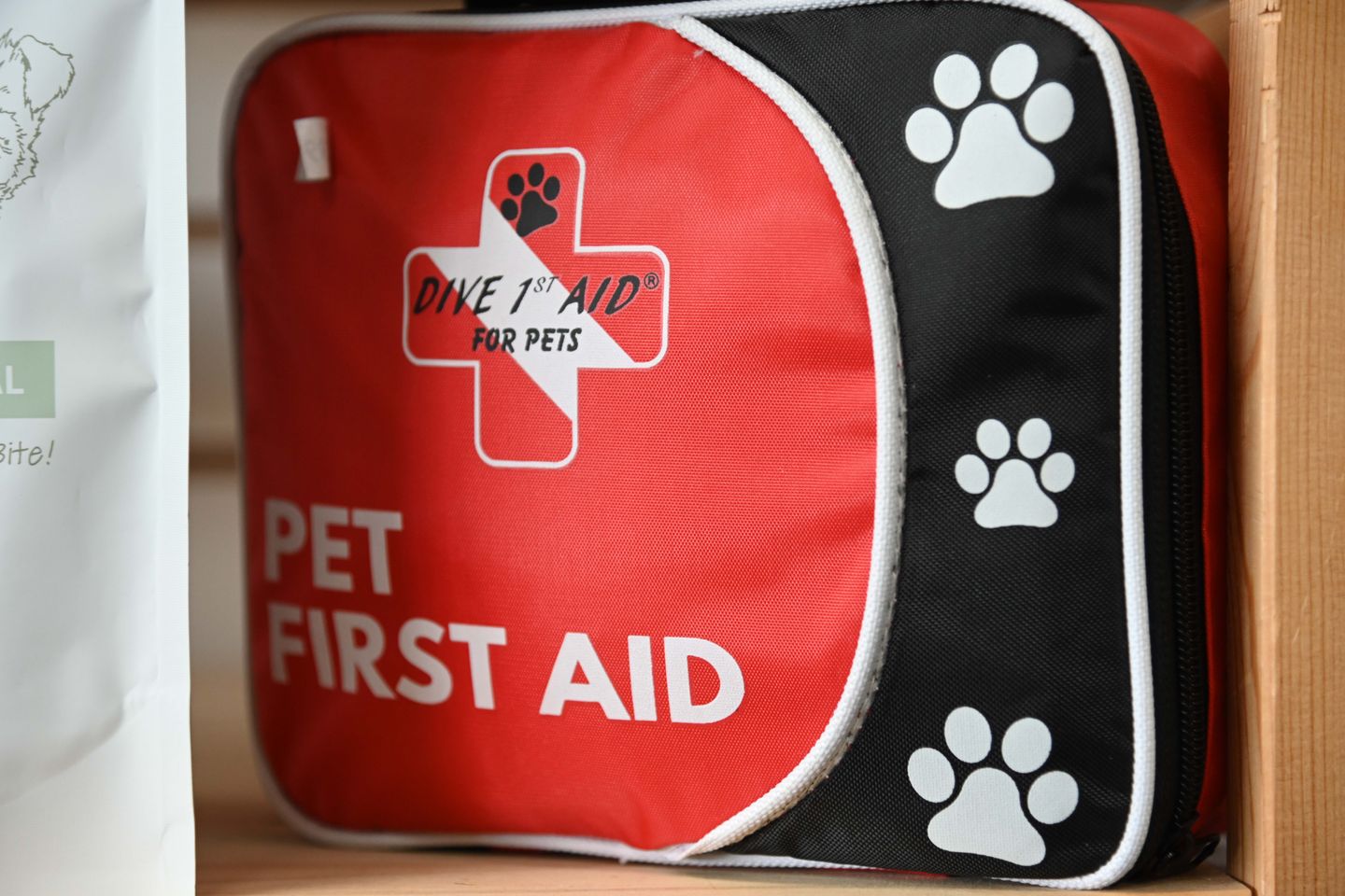 Understanding Dog Matting: Professional Grooming Solutions | Pets Etc