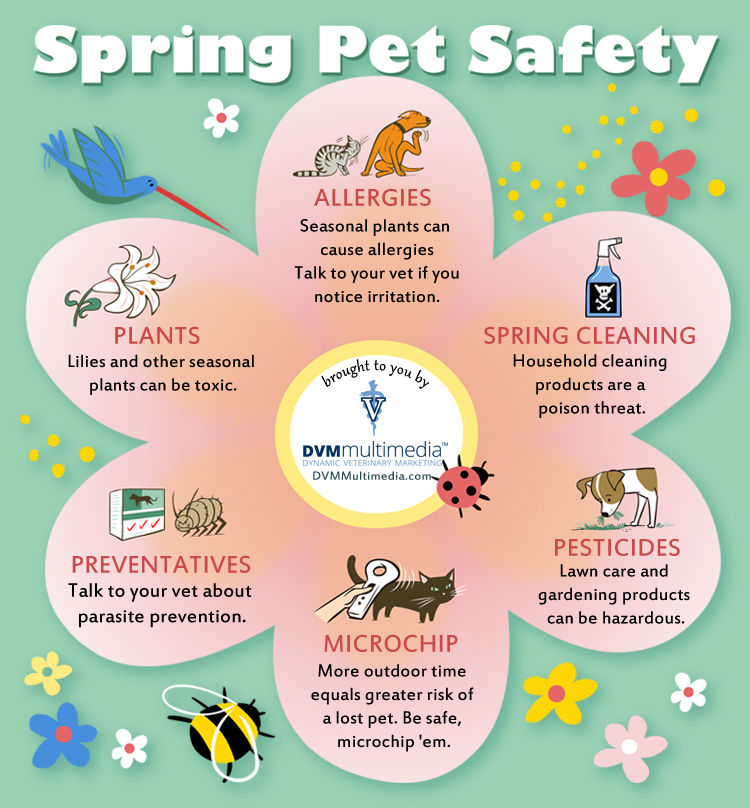Spring Safety - Mukwonago, Wisconsin
