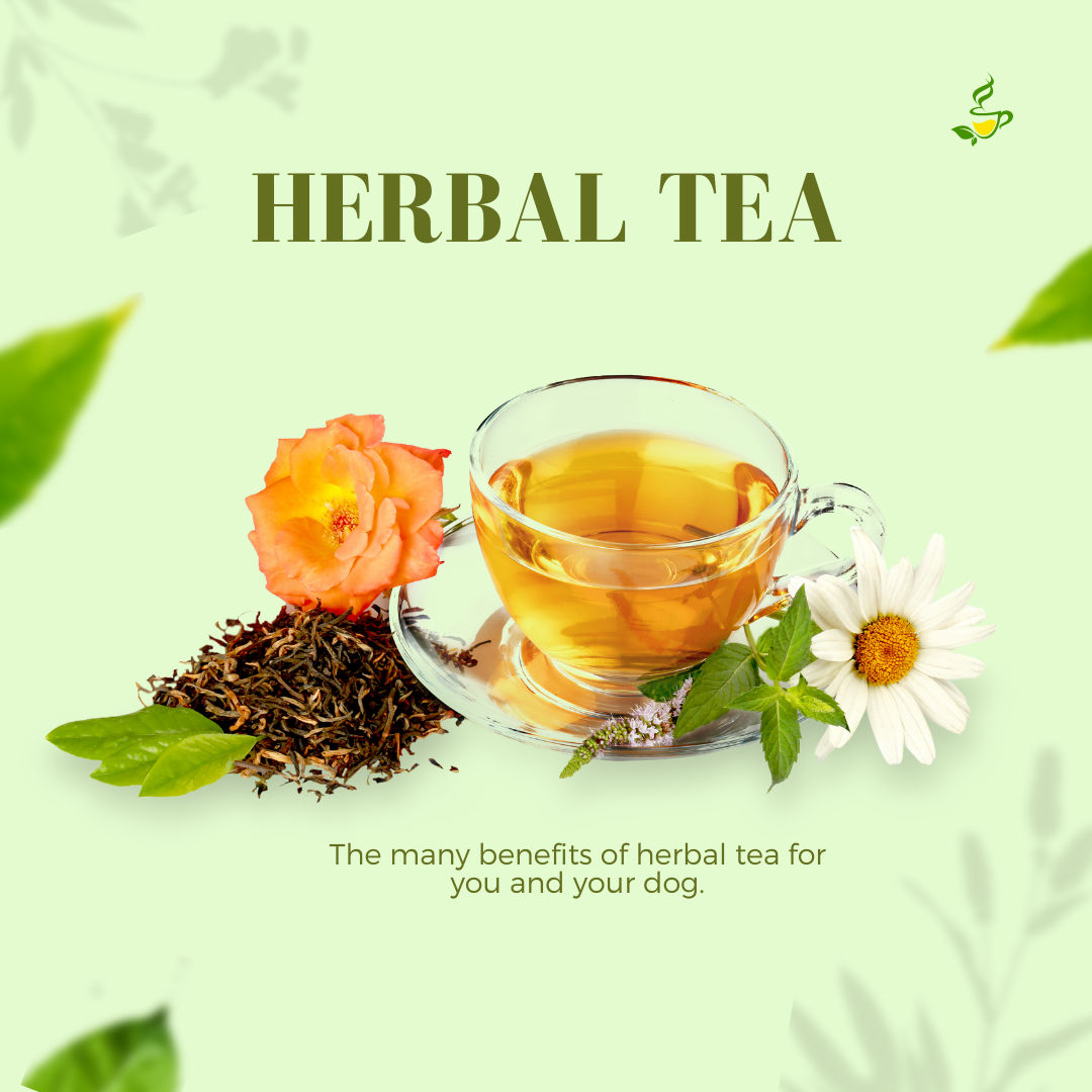 It's National Tea Day - Eustis, Florida