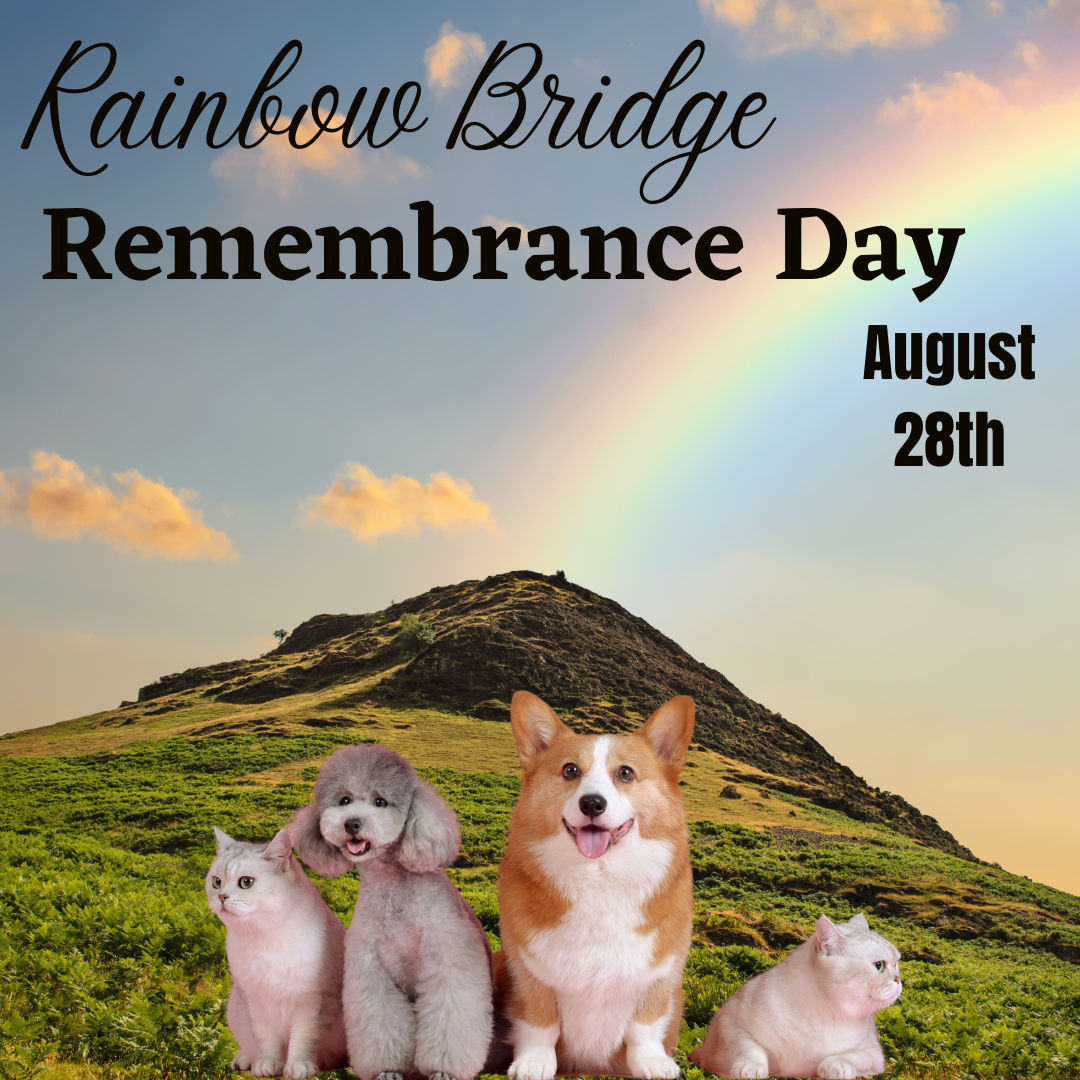 Rainbow Bridge Remembrance Day: Honoring The Unforgettable Bond