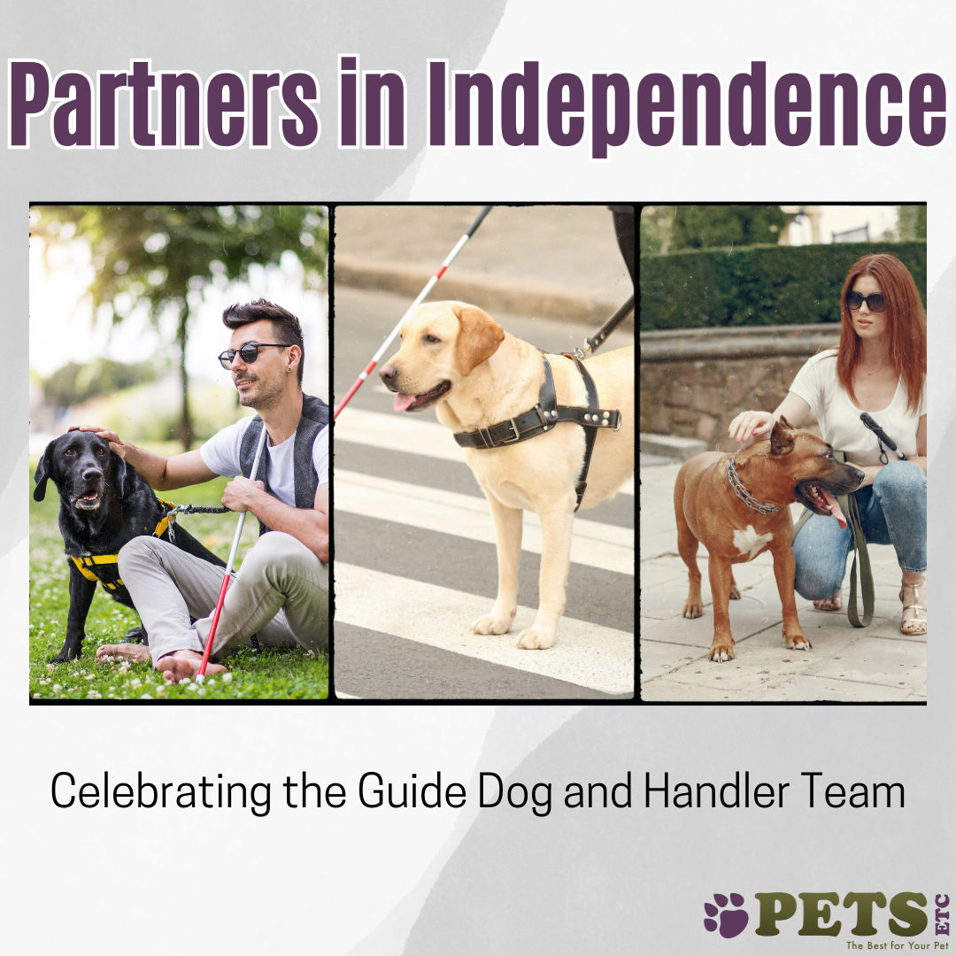 Partners In Independence: Celebrating The Guide Dog And Handler Team