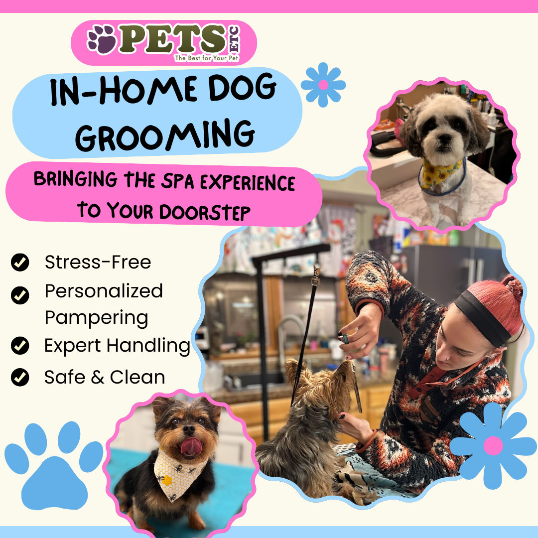 In-Home Dog Grooming: Bringing The Spa Experience To Your Door