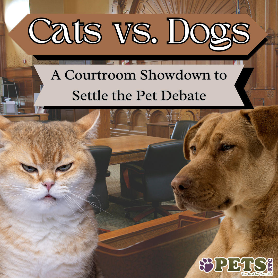 Cats Vs. Dogs: A Courtroom Showdown To Settle The Pet Debate