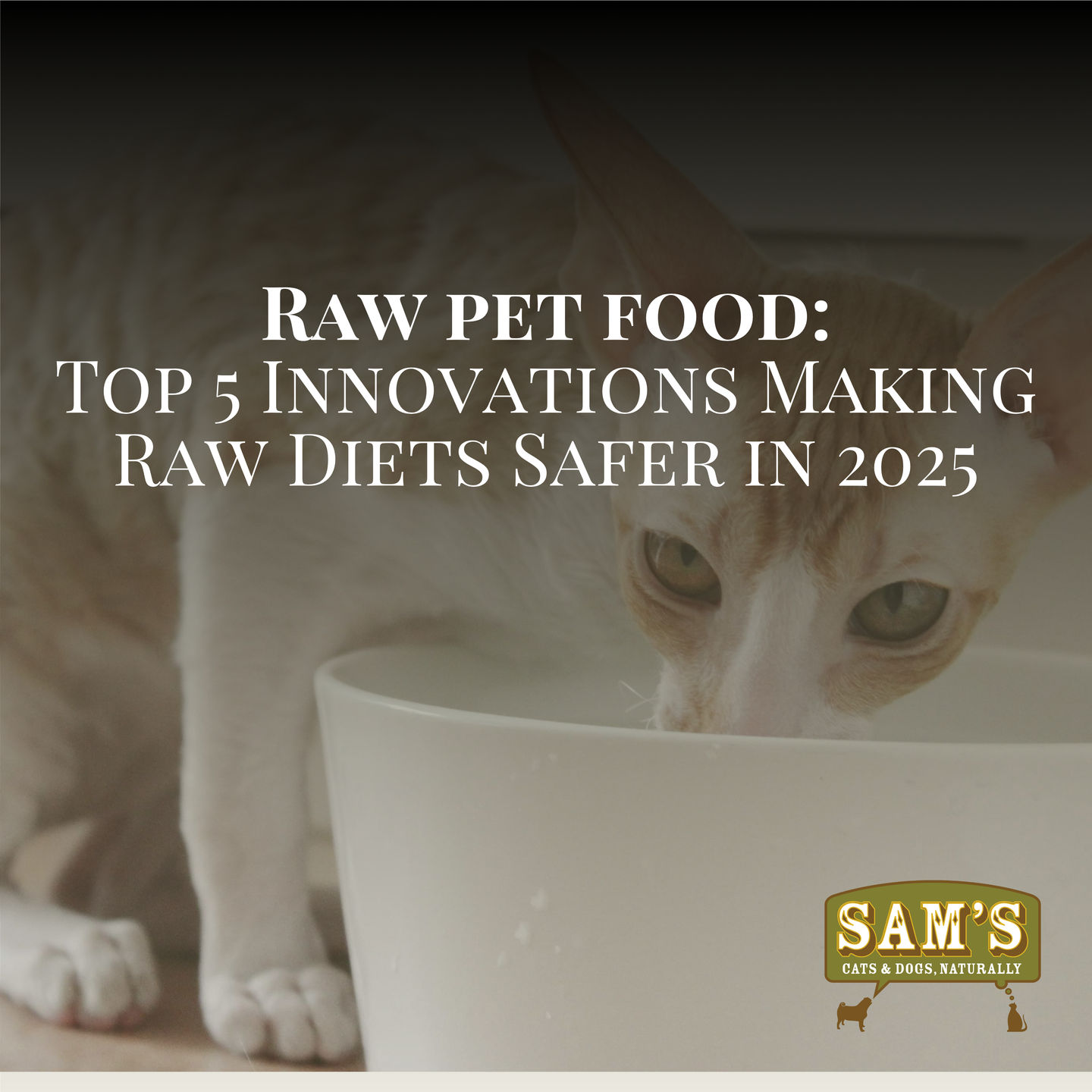 Top 5 Innovations Making Raw Diets Safer In 2025 - Everett, Washington