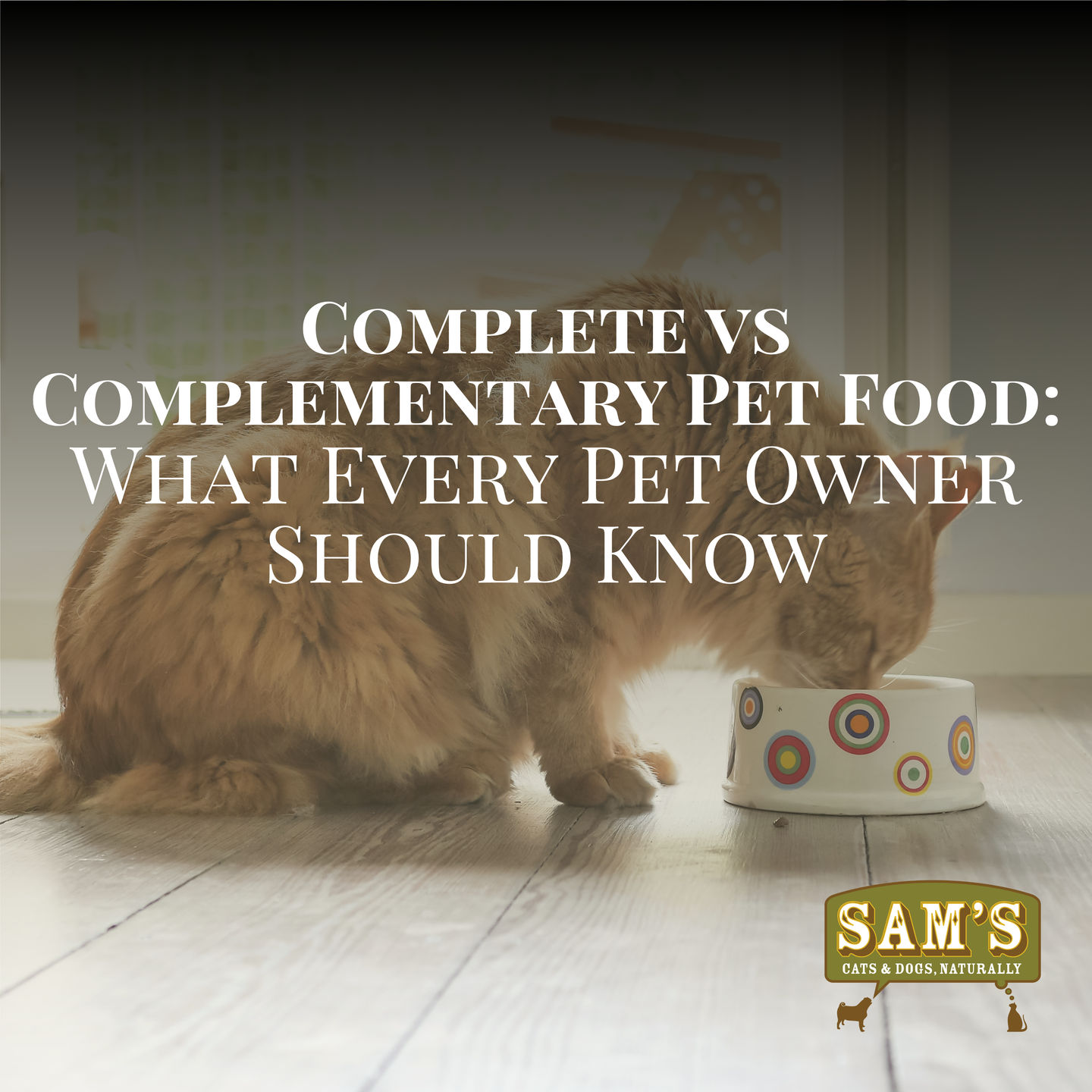 Complete Vs Complementary Pet Food: What Every Pet Owner Should Know