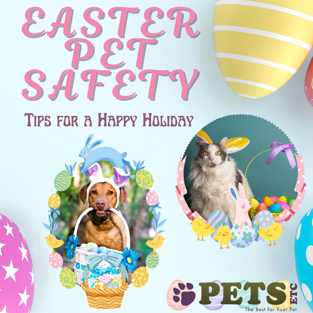 Easter Pet Safety: Tips For A Happy Holiday