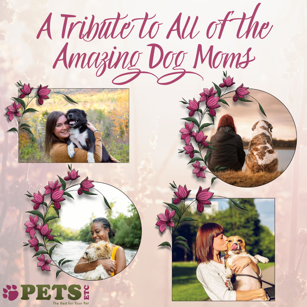 A Celebration Of All Of The Amazing Dog Moms
