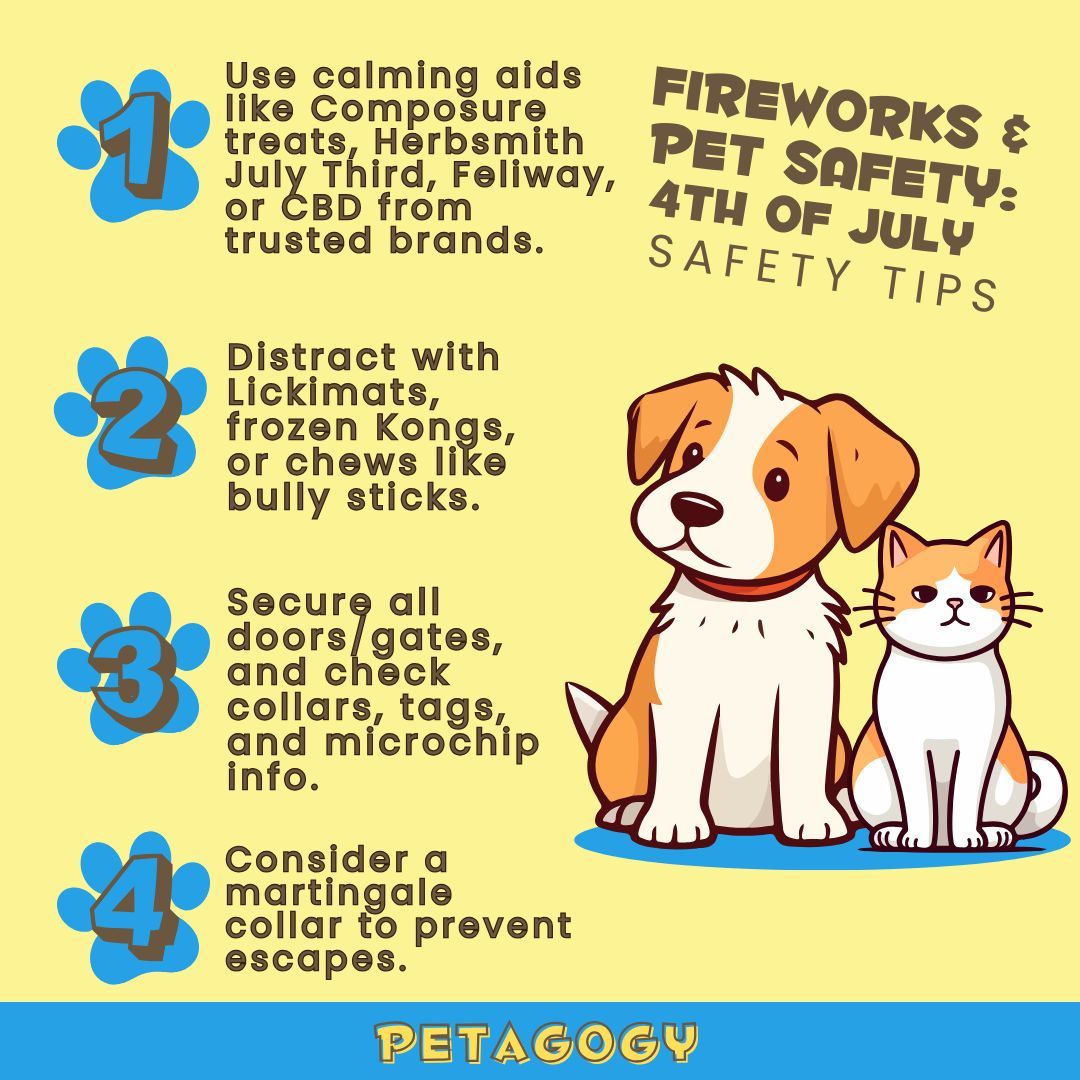 Fireworks & Pet Safety: Keeping Your Pets Calm And Secure This July 4th ...