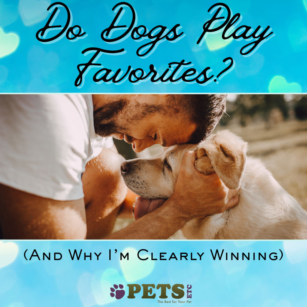 Do Dogs Play Favorites? (And Why I’m Clearly Winning)