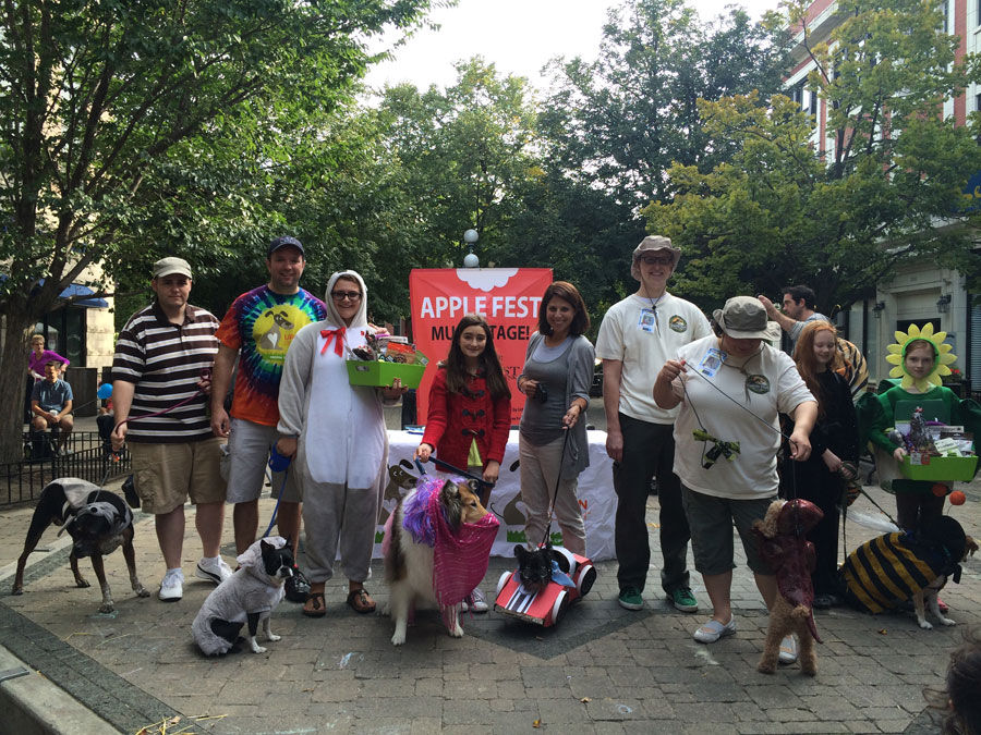 AppleFest 4th Annual Fall Harvest Pooch Costume Contest And Parade ...