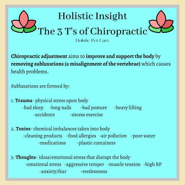 Holistic Insight: The 3 T's Of Chiropractic Adjustment - Whippany, New ...