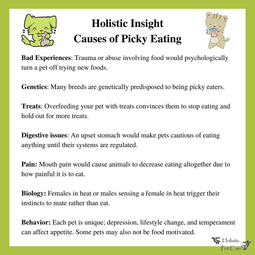 Holistic Insight: Causes Of Picky Eating - Whippany, New Jersey