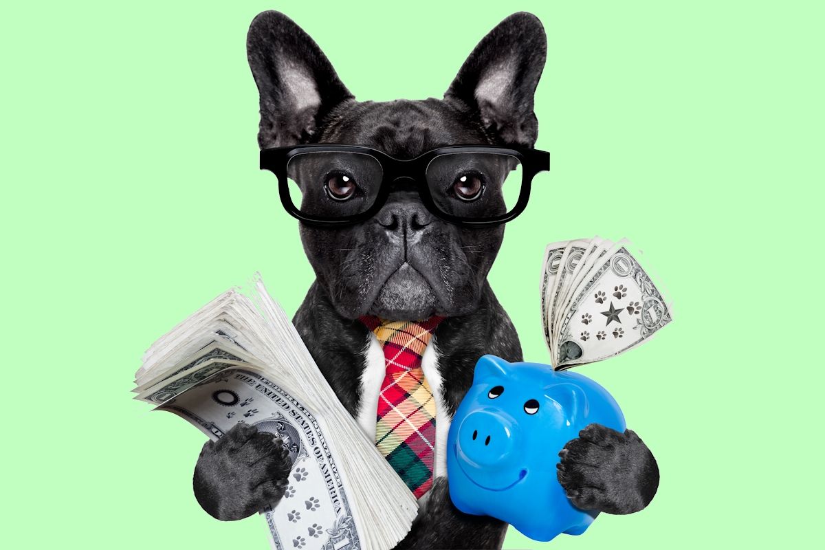 Check Out Our Frequent Buyer Programs!