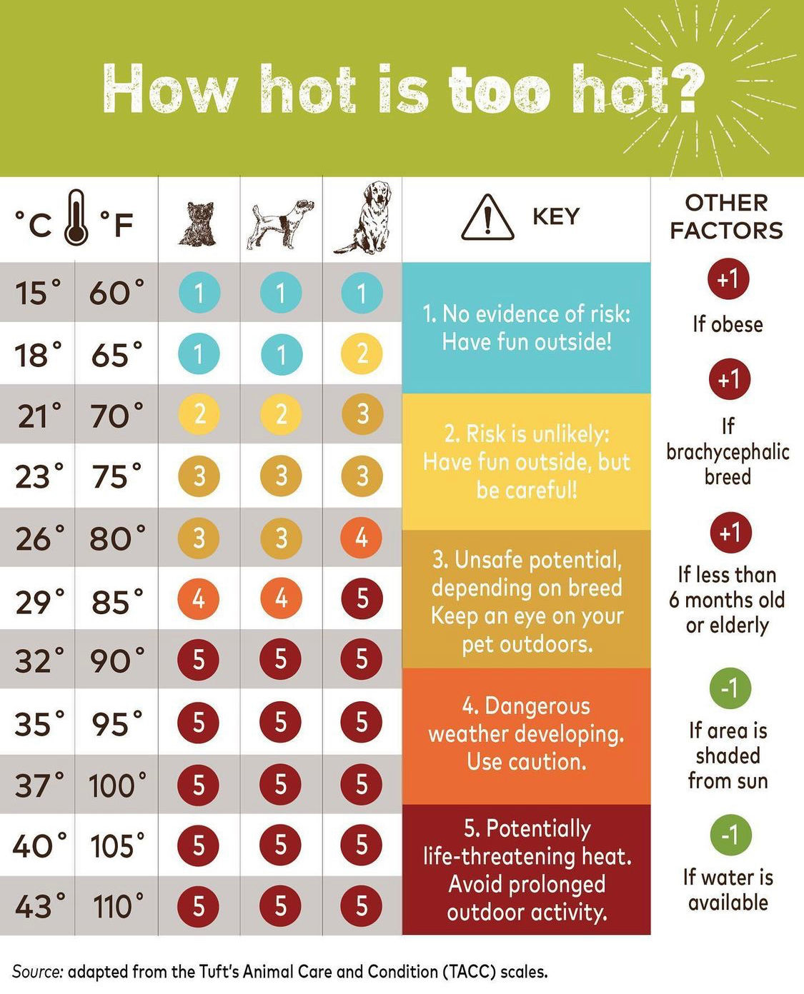 PETS IN THE SUMMER PET SAFETY TIPS St Louis Missouri PETS IN THE SUMMER PET SAFETY TIPS St Louis Missouri