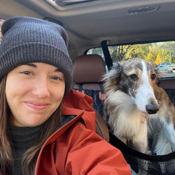 About Urban Pooch Training And Fitness Center In Chicago