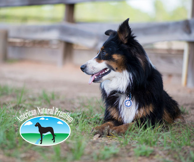 Pet Food Deals - Cat & Dog Food Coupons In Mukwonago