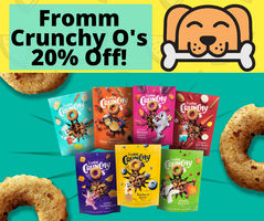 Pet Food Supply Store - Holistic For Pets In Sarasota, Florida