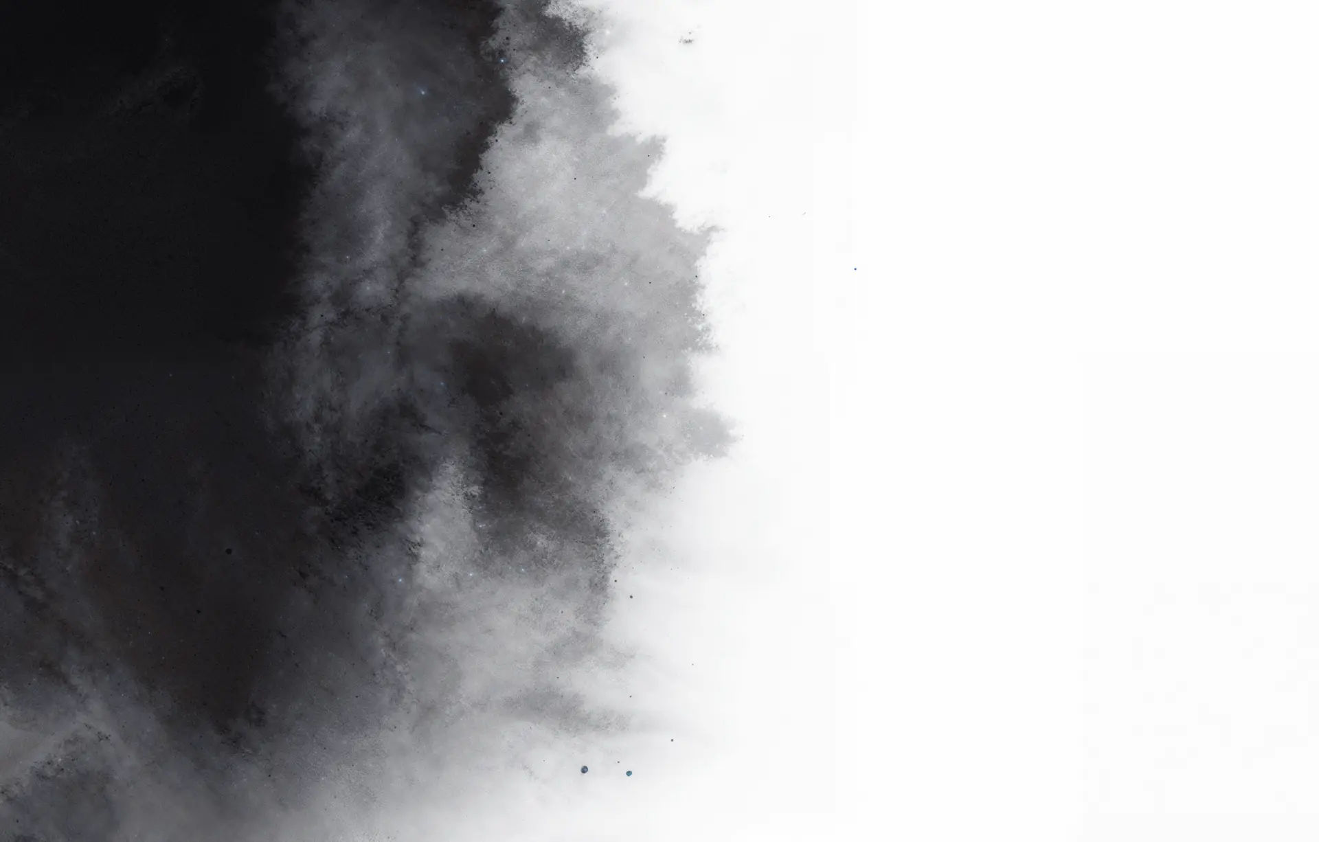 Dr. Andrew Doyle | Peterson Academy