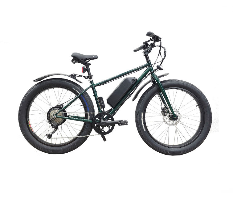 eZee E-Rex Fat Electric Bike - Action Bicycle Club