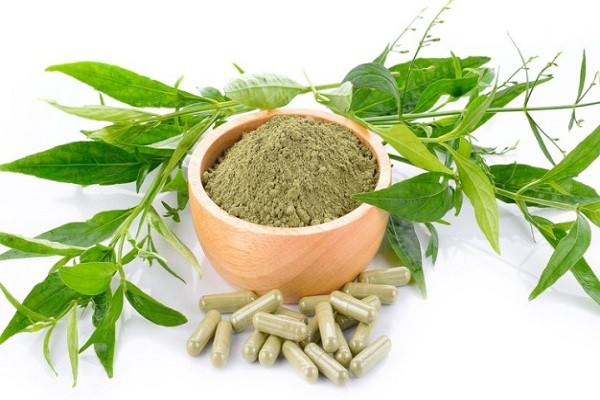 6 Manfaat Sambiloto dan Cara Mengolahnya dengan Benar