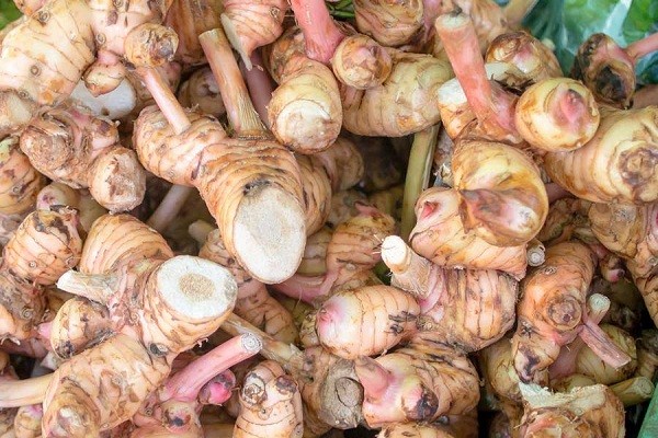 7 Manfaat Lengkuas yang Baik untuk Kesehatan