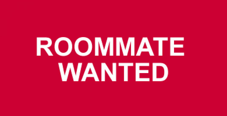 roommate,flatmate,housemate,roomi,roomster,sharemate,real estate,share ...