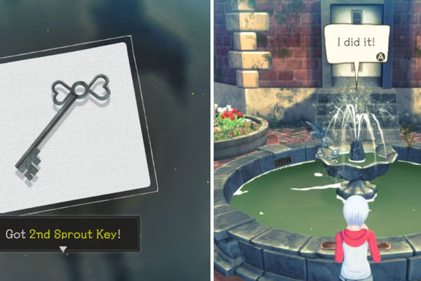 Unveiling the Mystery of the Sprout Key in Another Code: Recollection