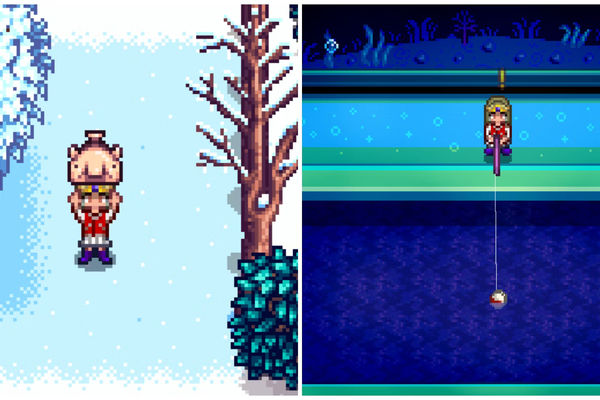 The Enigmatic Blobfish: A Guide to Stardew Valley's Most Elusive Catch