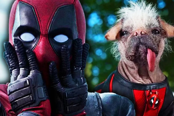 A Multiverse Mashup: The Exciting World of Deadpool 3