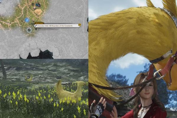 Final Fantasy 7 Rebirth: Locating Chocobo (Piko Location Guide)