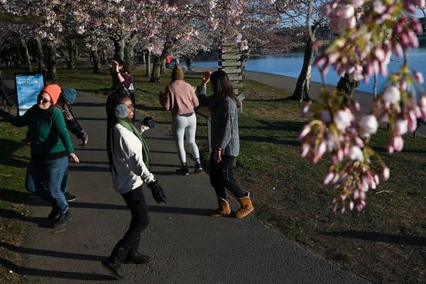 Spring Equinox: Embracing the Arrival of Spring with Time-Honored ...