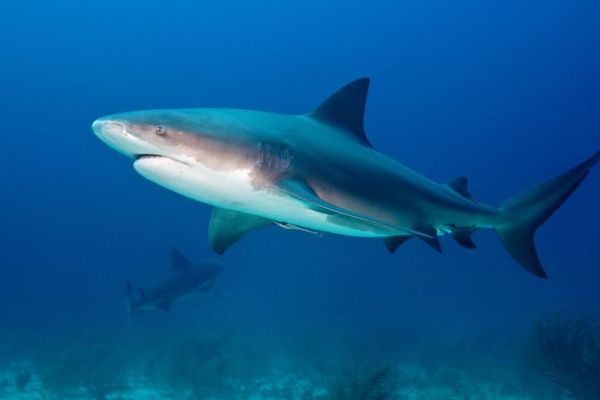 The Impact of Climate Change on Cold Ocean Outbreaks